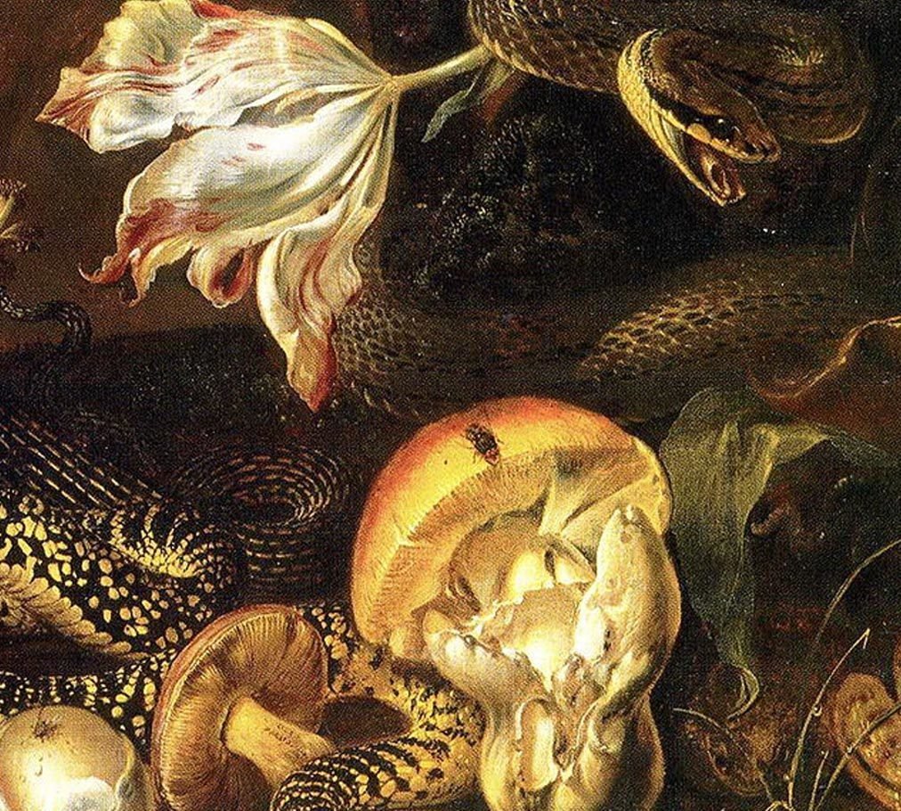 A Note on Vanitas - Triple Canopy