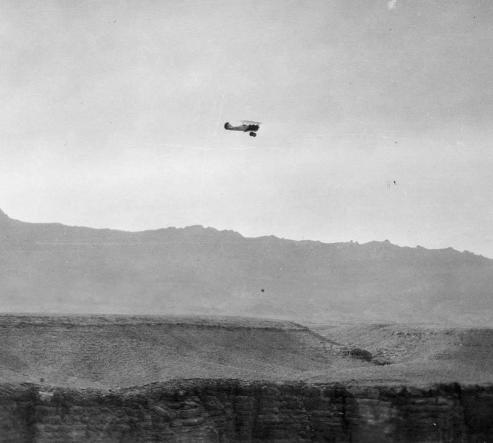 When You Look at a Fence - Triple Canopy