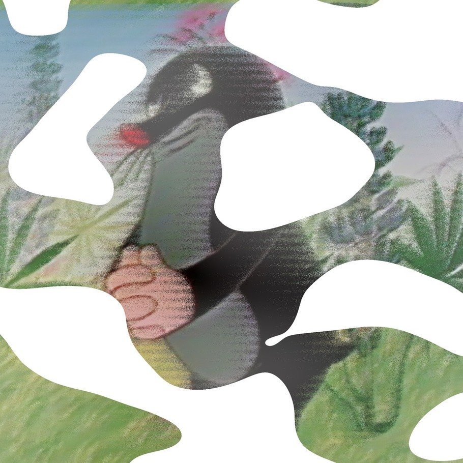 Dual Nationality - Triple Canopy