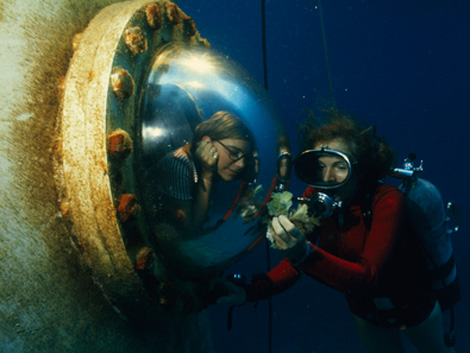 Tektite Revisited - Triple Canopy